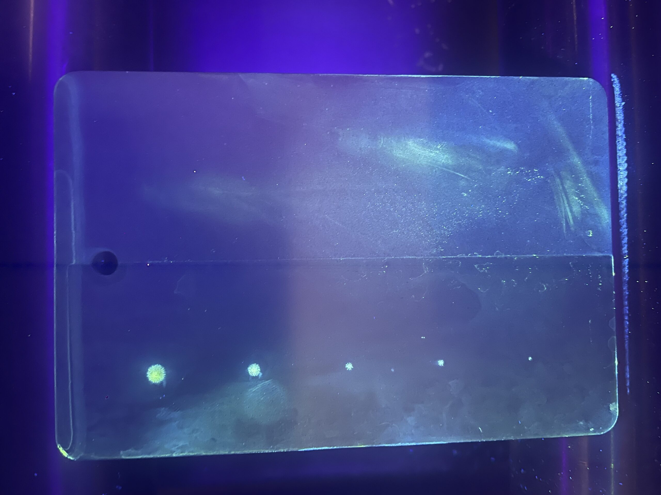 ExecuJet MRO Services Middle East Enhances Fluorescent Penetrant ...